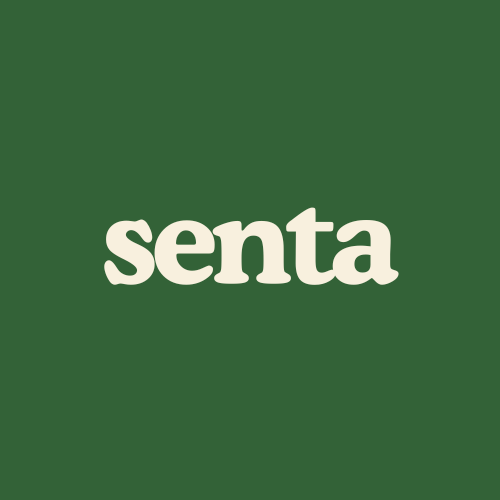 Senta Digital | Atlanta AI Advisory & Implementation